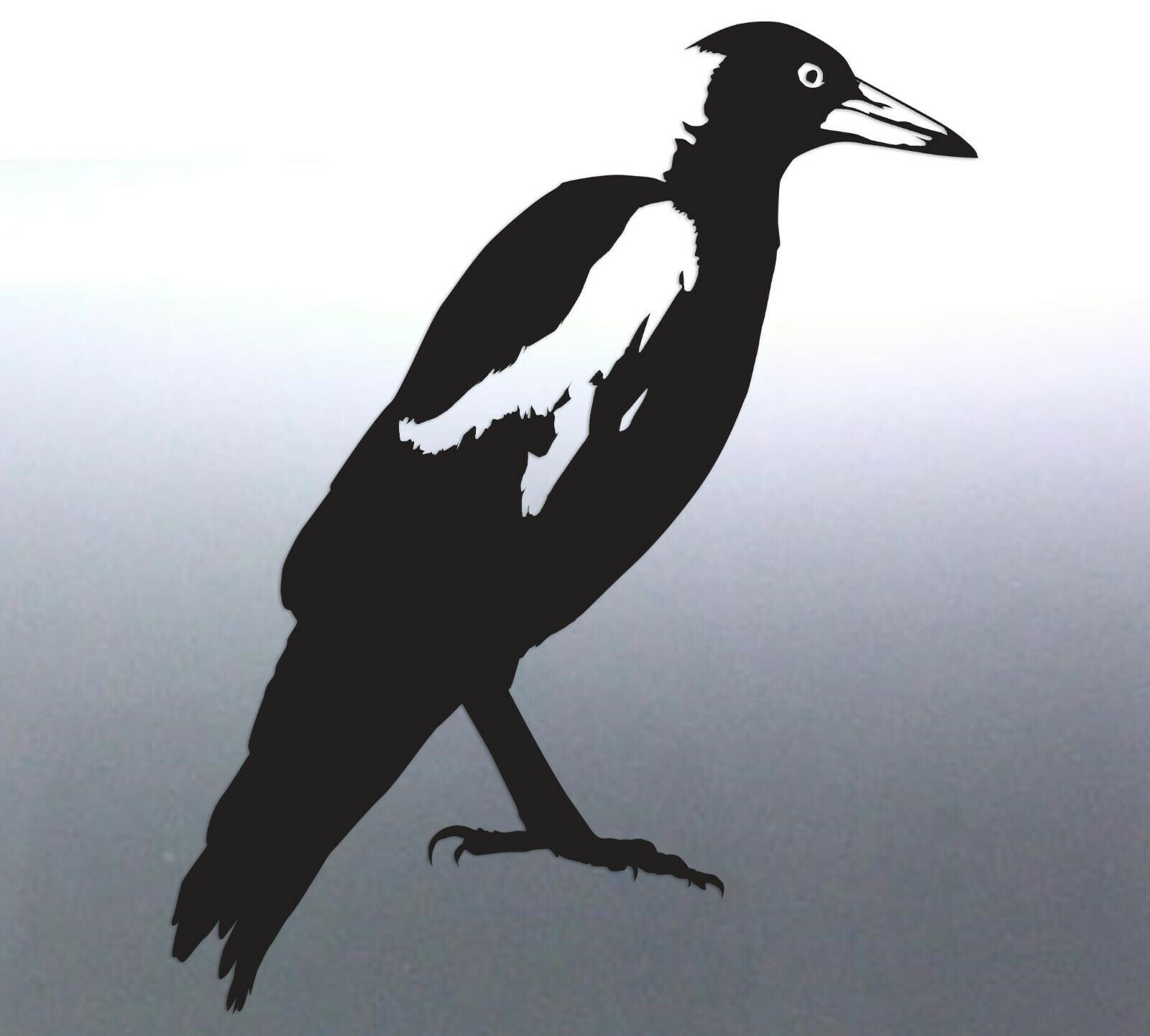 Magpie Sticker – Australian Native Bird Vinyl Decal | Brisbane ...