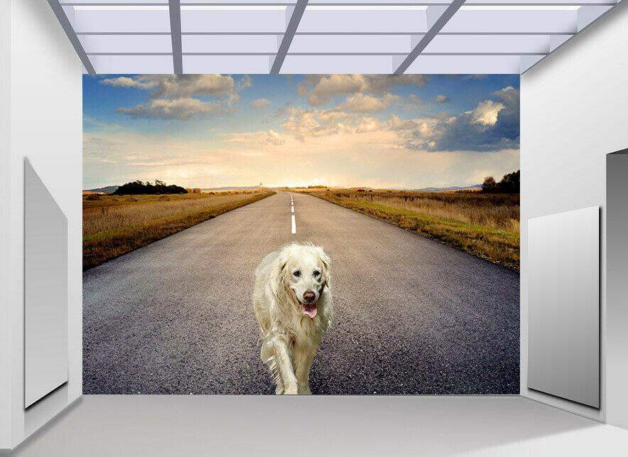 Labrador Wallpaper mural vinyl material to suit cu – Stickdat